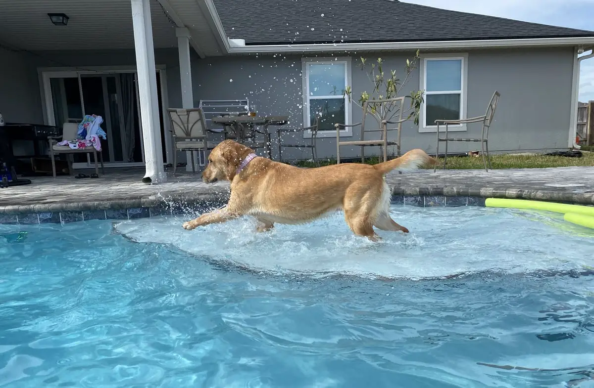 About Me - Backyard Pool Guy