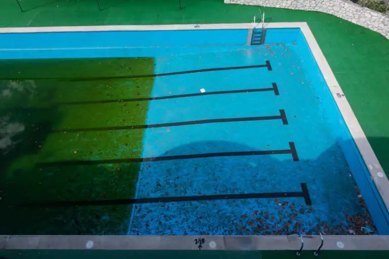 How To Get Rid of Black Mold on Pavers Around a Pool